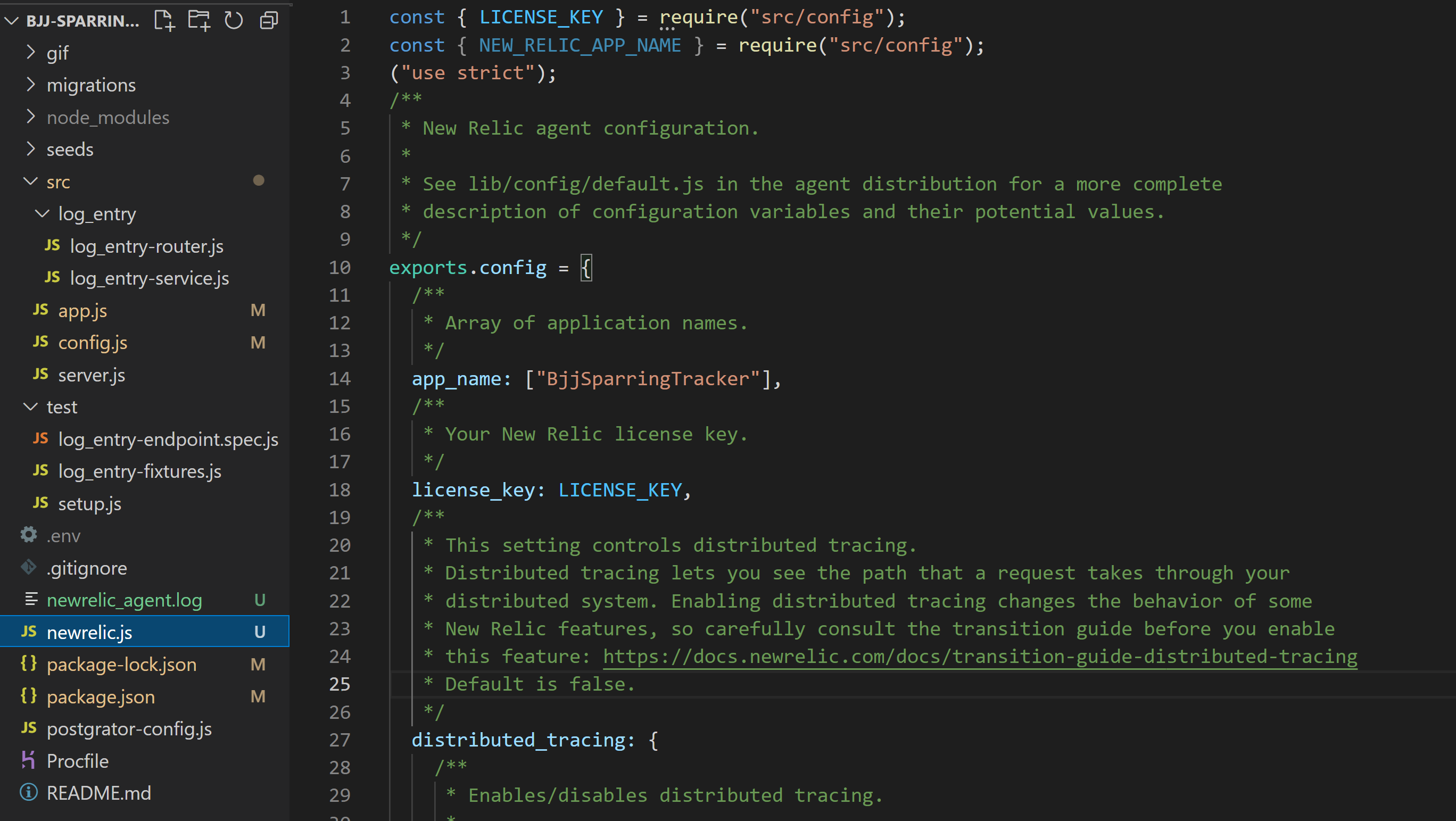 Hub Topic: [Node] Error: New Relic requires that you name this application